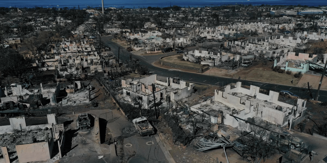 What do MgO + Passive House™ Panels Really Cost vs Wood Framing?